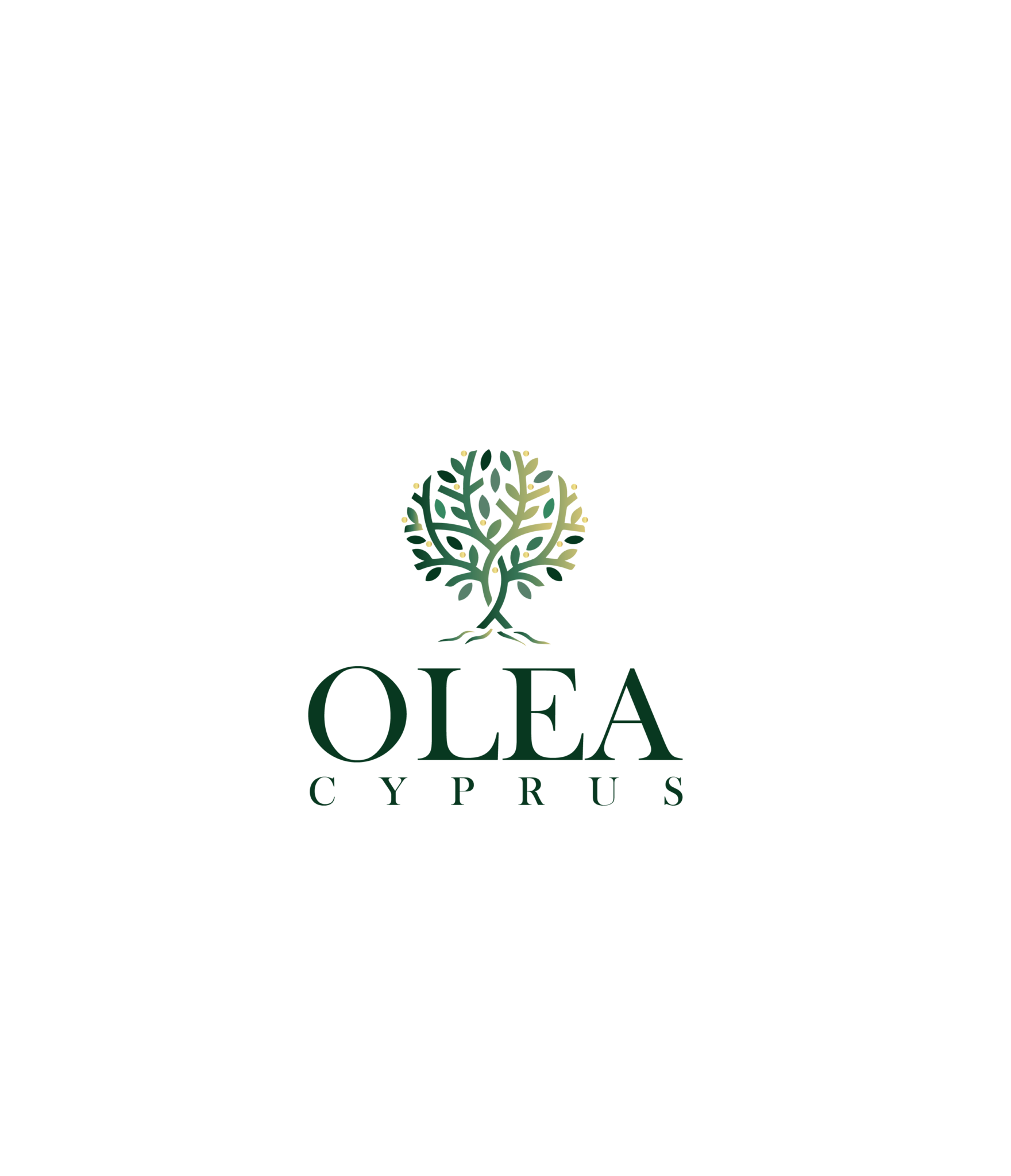 Olea Cyprus – Noyanlar Construction Progress